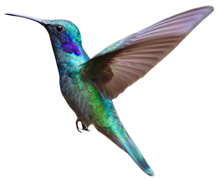 Klarent Hospitality – Rutherford Cross